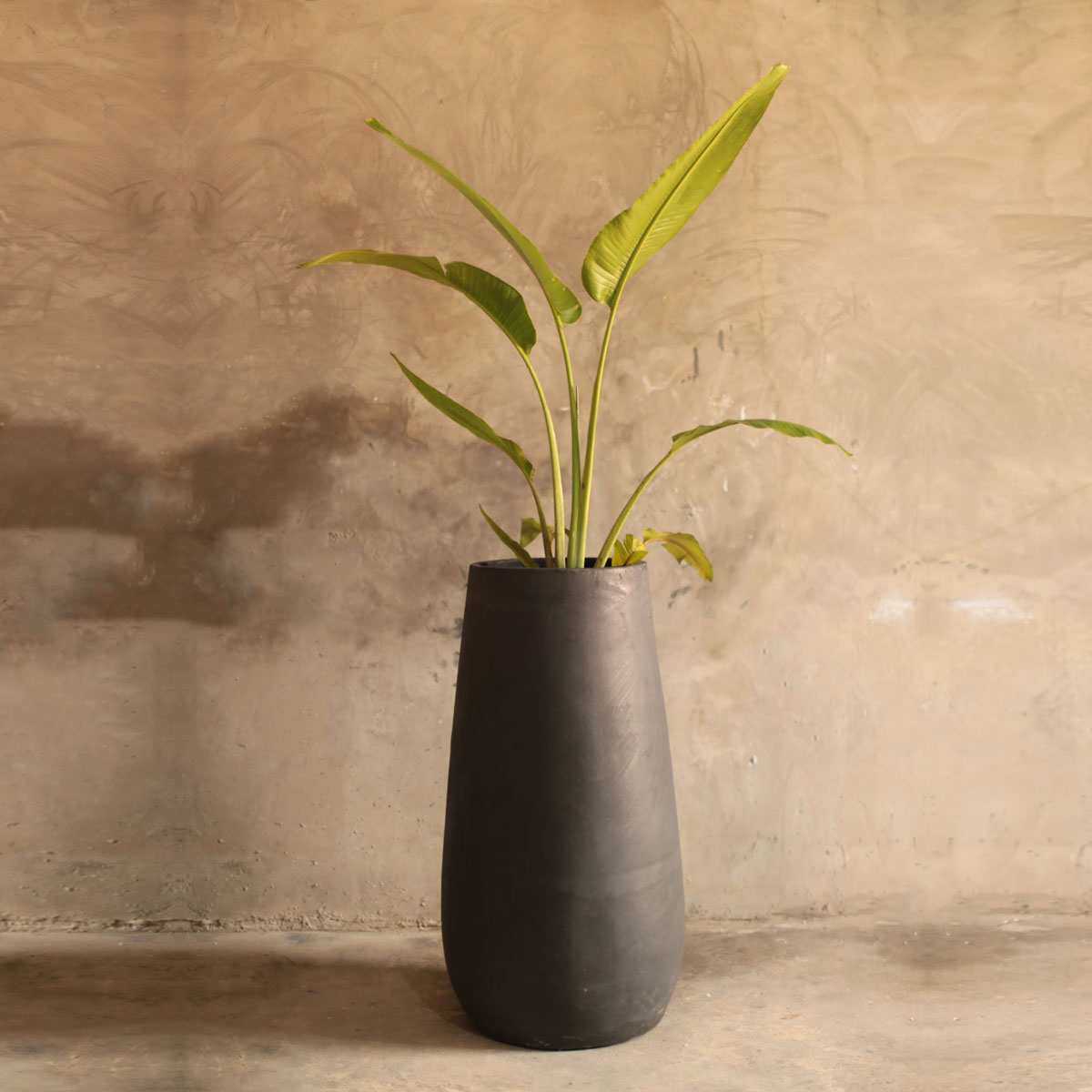 Azabache 100 – Amalgama Taller