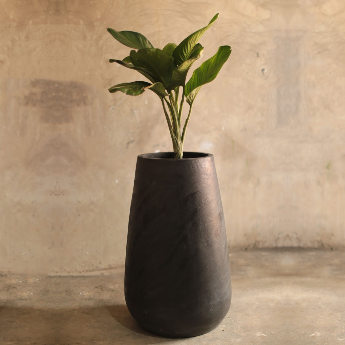 Azabache 90 – Amalgama Taller